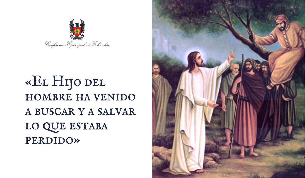 15 noviembre | Lectura del santo Evangelio según san Lucas 19,1-10 | Conferencia Episcopal de ...