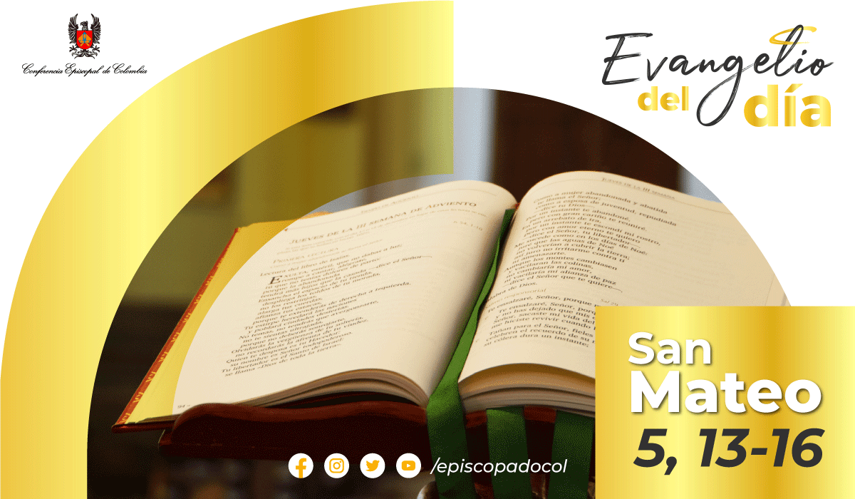 13 de junio | Lectura del santo Evangelio según san Mateo 5, 13-16 ...