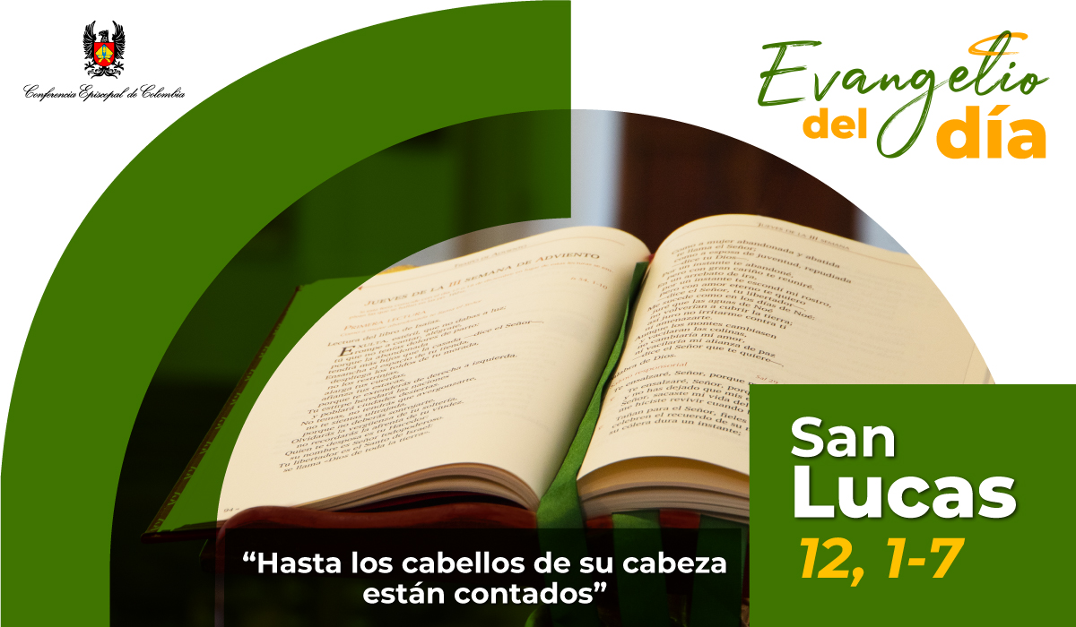 20 de octubre | Lectura del santo Evangelio según san Lucas 12, 1-7 ...