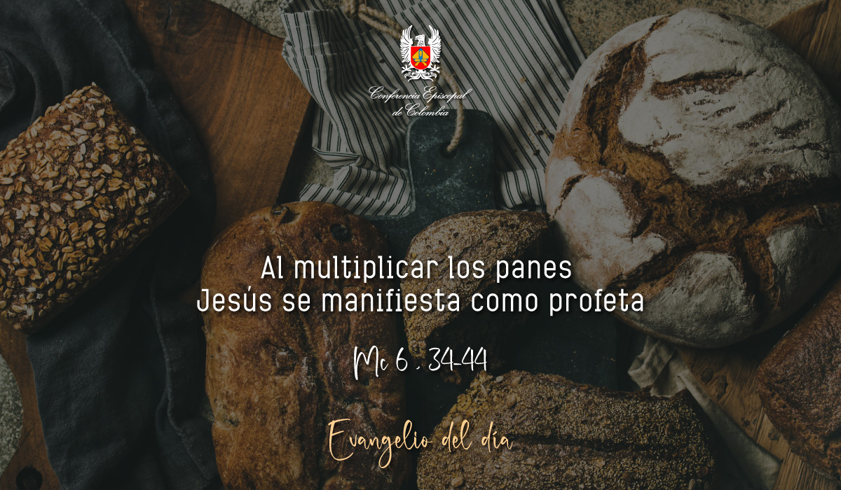 7 de enero | Lectura del santo Evangelio según San Marcos 6, 34-44 ...