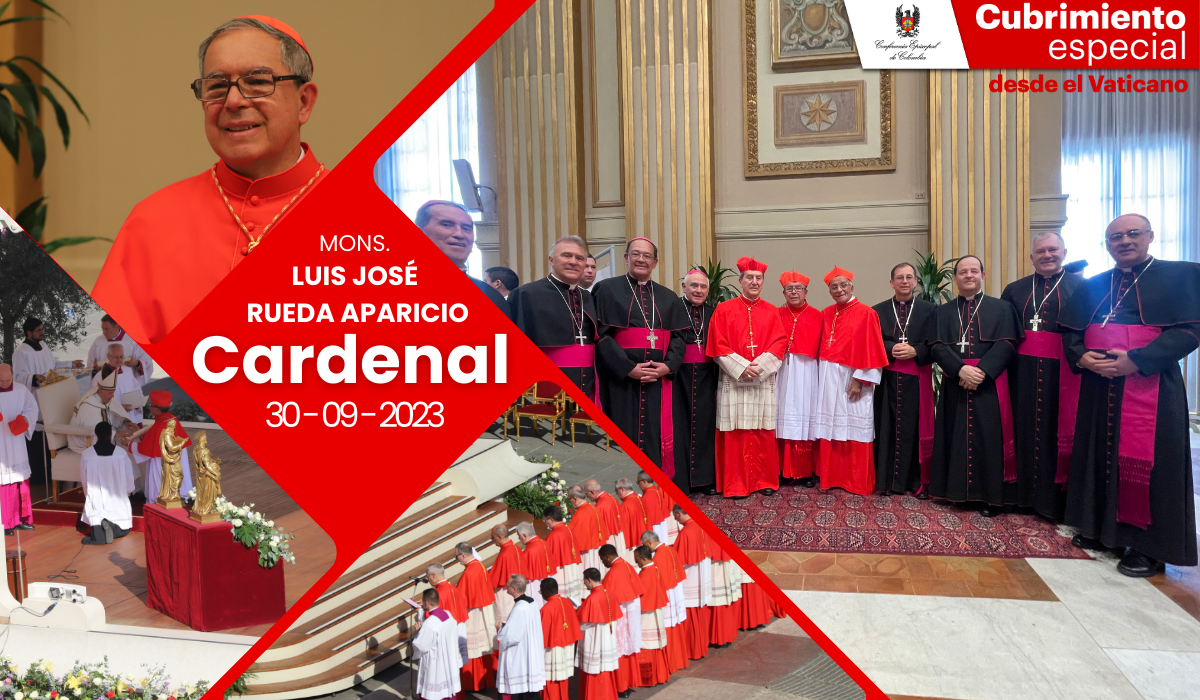 Los detalles, testimonios y mejores momentos de la creación de monseñor ...